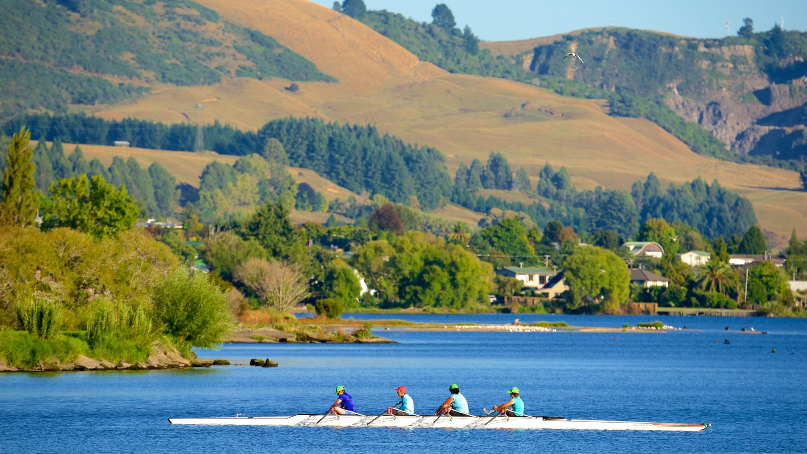 6 cảnh đẹp không thể bỏ lỡ ở Rotorua - Fantasea Travel